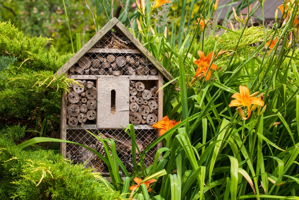 The UK’s Best Insect Hotels For Bees, Butterflies, Ladybirds & Other ...